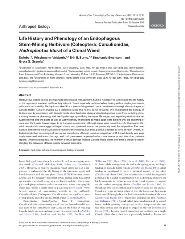 (PDF) Life History and Phenology of an Endophagous Stem-Mining ...