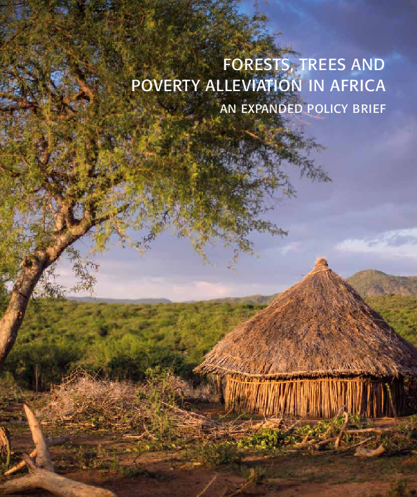 (PDF) Forests, Trees and Poverty Alleviation in Africa | Judith Kamoto ...