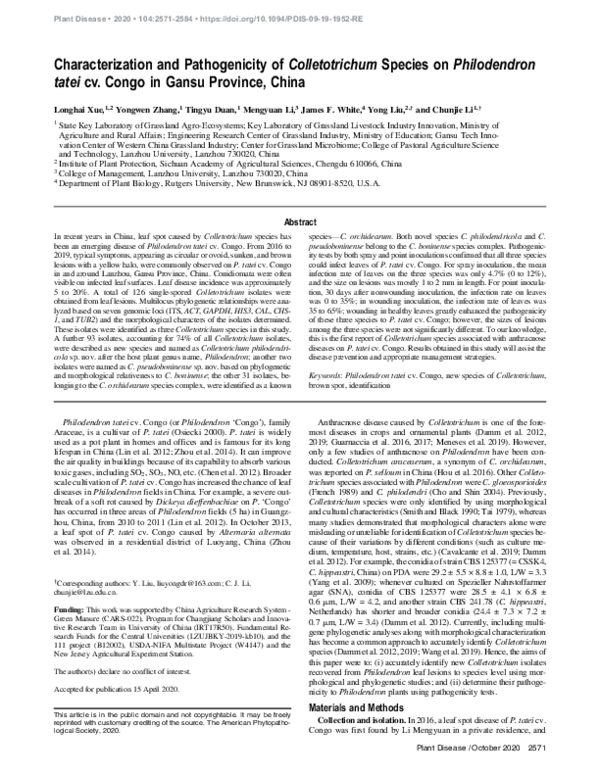 (PDF) Characterization and pathogenicity of Colletotrichum species ...
