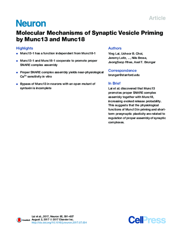 (PDF) Molecular Mechanisms of Synaptic Vesicle Priming by Munc13 and Munc18