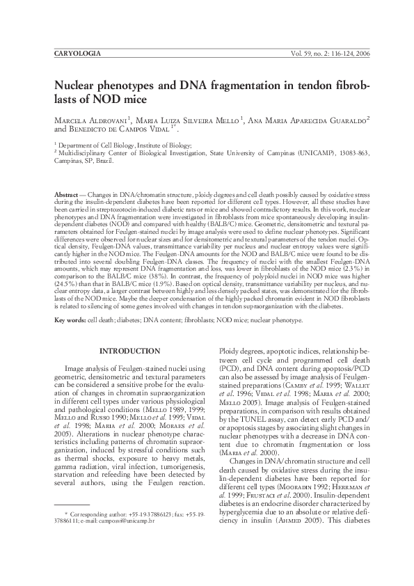 (PDF) Nuclear phenotypes and DNA fragmentation in tendon fibroblasts of ...