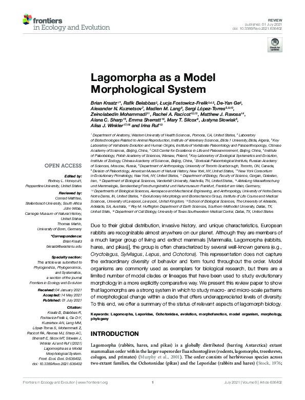 (PDF) Lagomorpha as a Model Morphological System