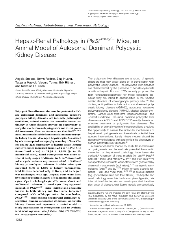 (PDF) Hepato-Renal Pathology in Pkd2/− Mice, an Animal Model of ...