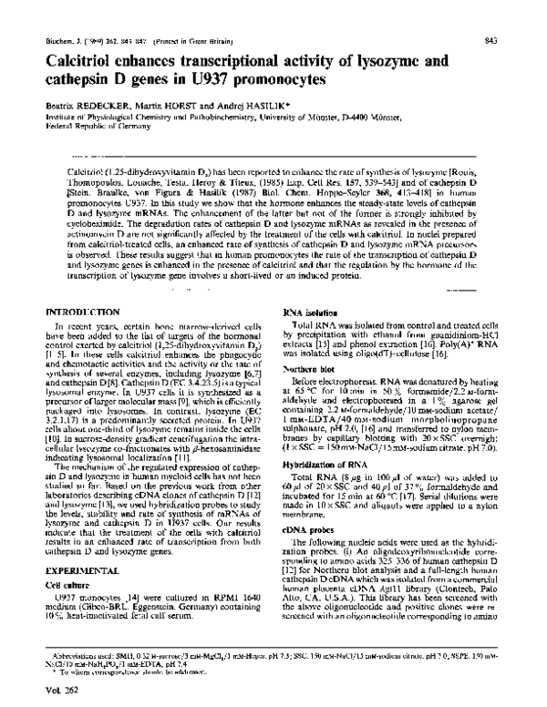 (PDF) Calcitriol enhances transcriptional activity of lysozyme and ...