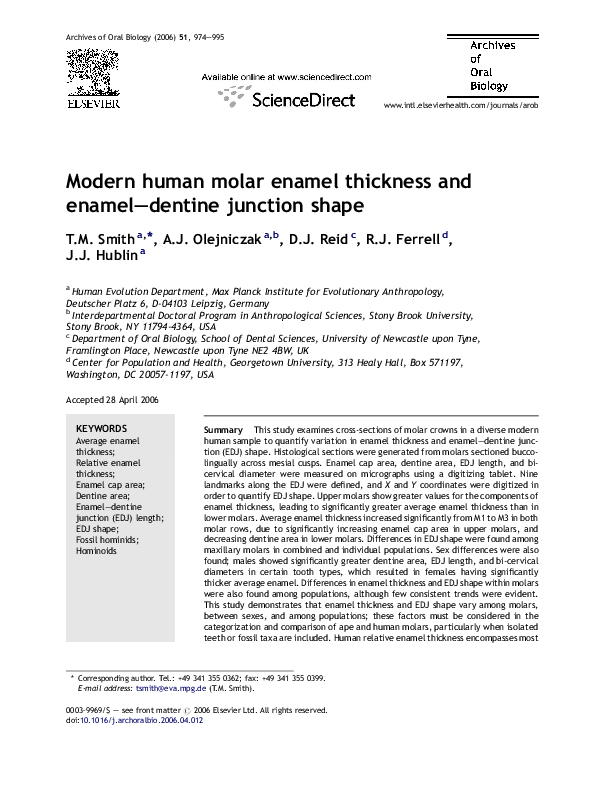 (PDF) Modern human molar enamel thickness and enamel–dentine junction shape