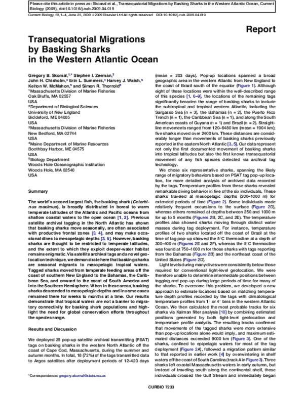 (PDF) Transequatorial Migrations by Basking Sharks in the Western ...
