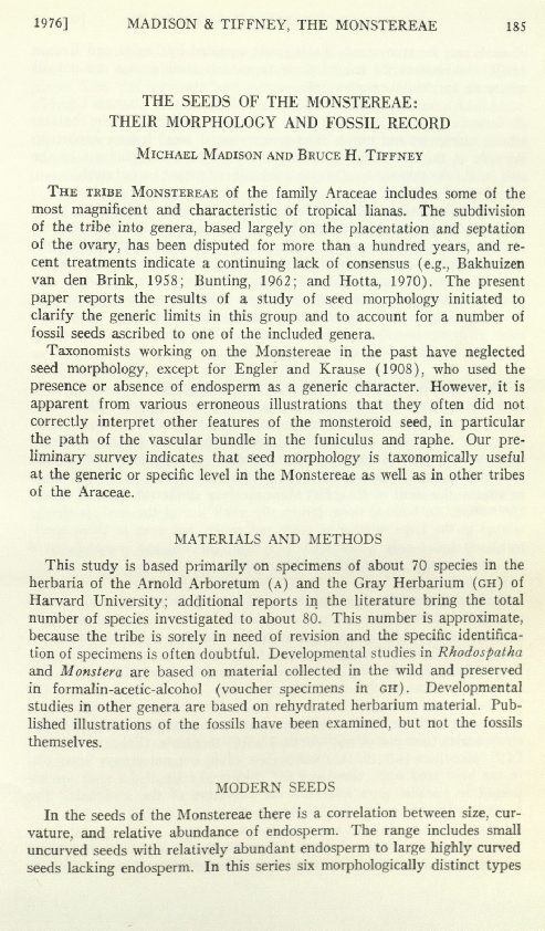 (PDF) The seeds of Monsteraceae: their morphology and fossil record