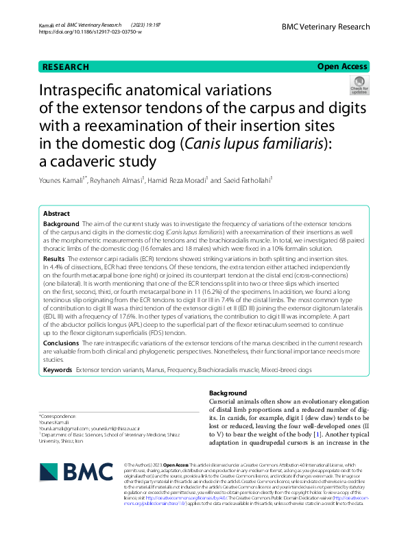 (PDF) Intraspecific anatomical variations of the extensor tendons of ...