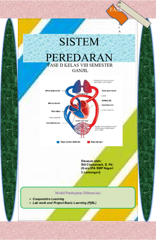 (DOC) MODUL Sistem Peredaran Darah
