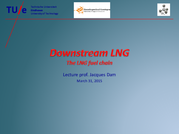 (PDF) Downstream LNG : the LNG fuel chain