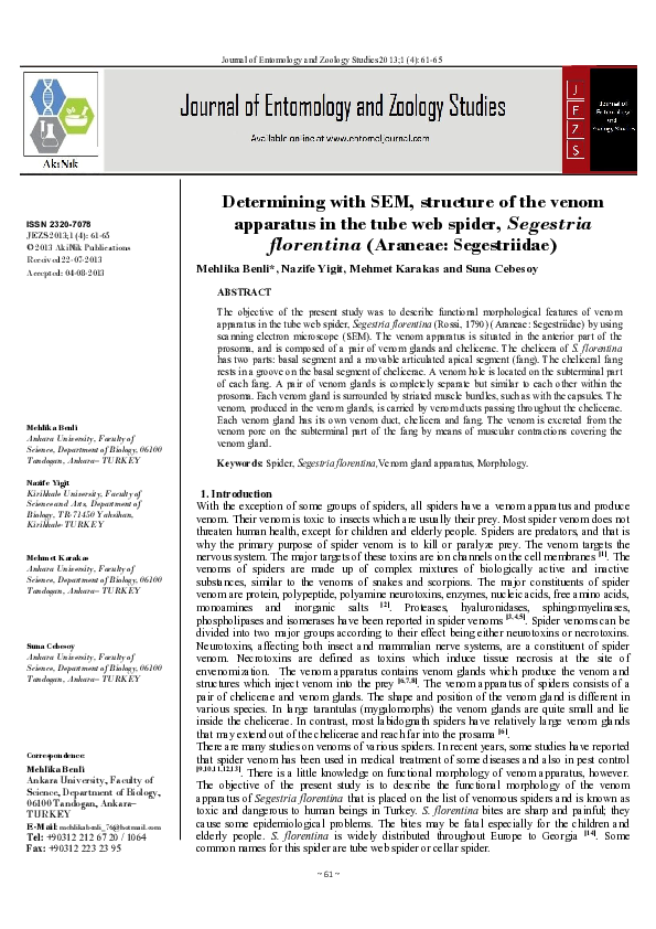 (PDF) Determining with SEM, structure of the venom apparatus in the ...