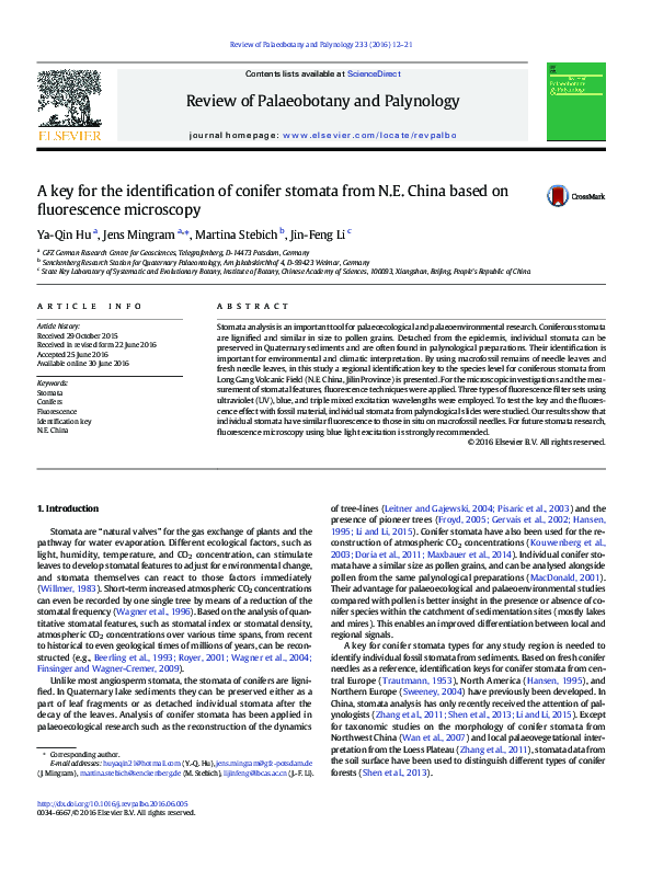 (PDF) A key for the identification of conifer stomata from N.E. China ...