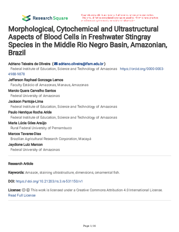 (PDF) Morphological, Cytochemical and Ultrastructural Aspects of Blood ...