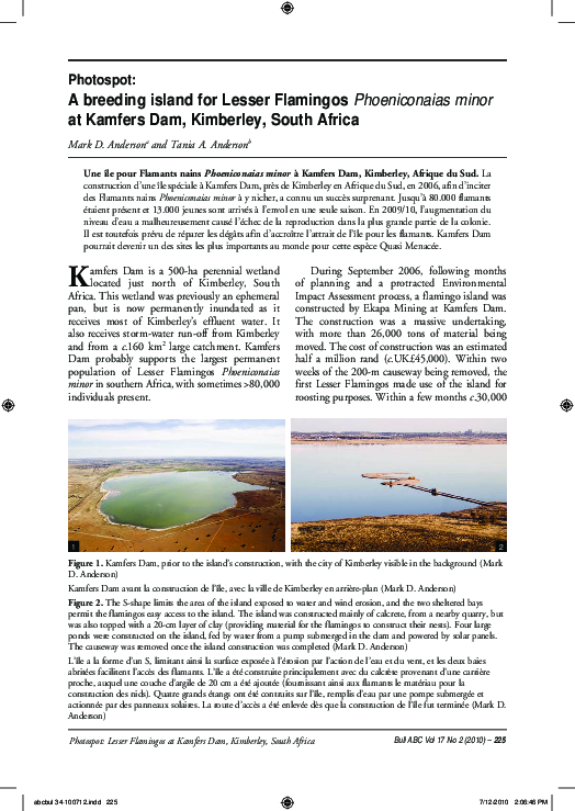 (PDF) A breeding island for Lesser Flamingos Phoeniconaias minor at ...