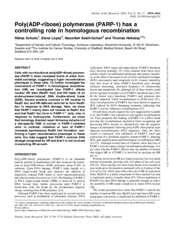 (PDF) Poly(ADP-ribose) polymerase (PARP-1) has a controlling role in homologous recombination