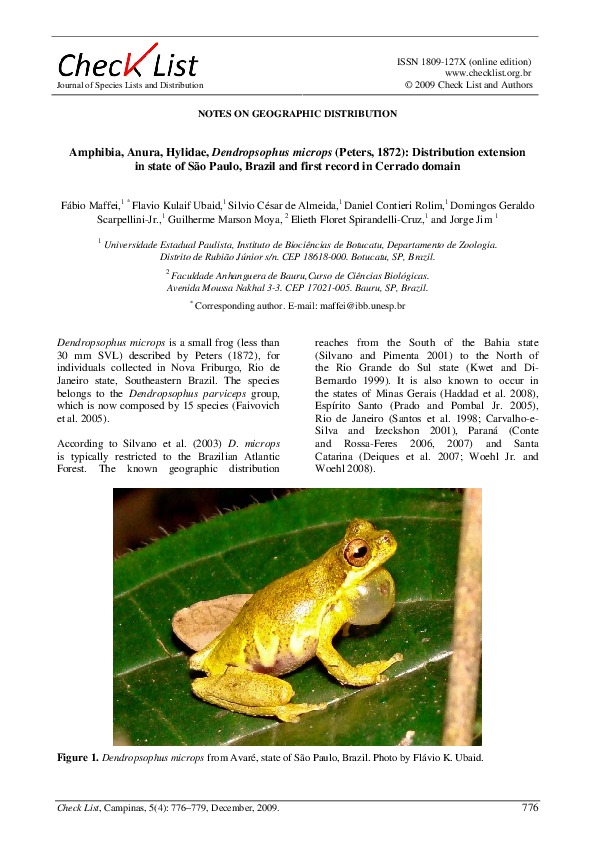 (PDF) Amphibia, Anura, Hylidae, Dendropsophus microps (Peters, 1872 ...