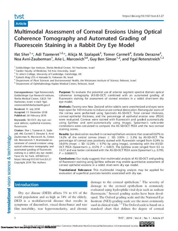 (PDF) Multimodal Assessment of Corneal Erosions Using Optical Coherence ...