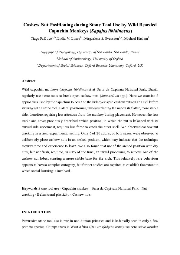 (PDF) Cashew Nut Positioning during Stone Tool Use by Wild Bearded ...
