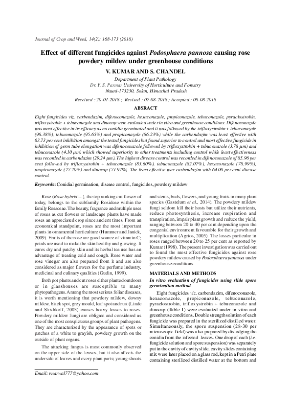 (PDF) Effect of different fungicides against Podosphaera pannosa causing rose powdery mildew ...