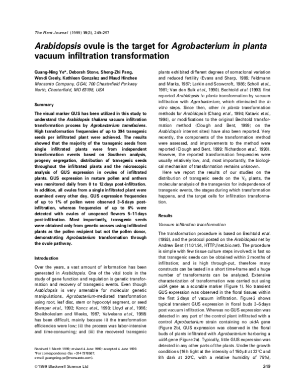 (PDF) Arabidopsis ovule is the target for Agrobacterium in planta ...