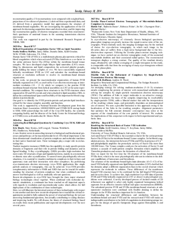 Pdf Resolving The Structural Basis Of Factor Viii Activation