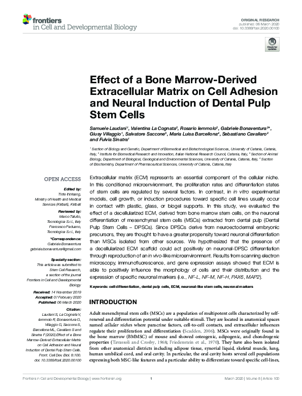(PDF) Effect of a Bone Marrow-Derived Extracellular Matrix on Cell ...