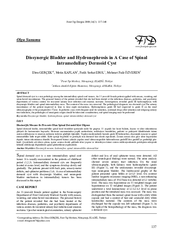 (PDF) Dissynergic Bladder and Hydronephrosis in A Case of Spinal ...