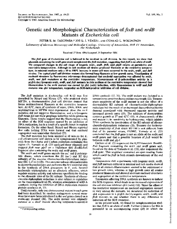 (PDF) Genetic and morphological characterization of ftsB and nrdB ...