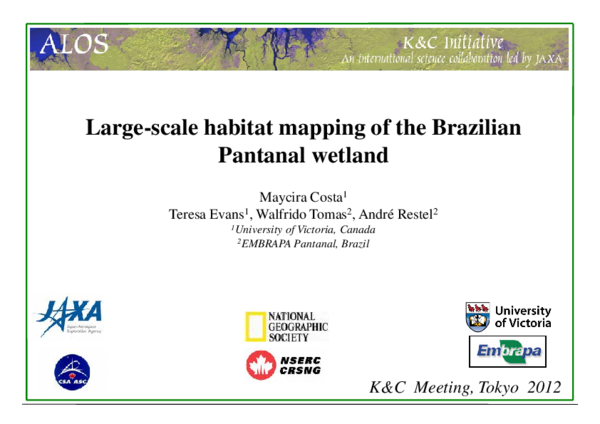 (PDF) Large-scale habitat mapping of the Brazilian Pantanal wetland: A ...