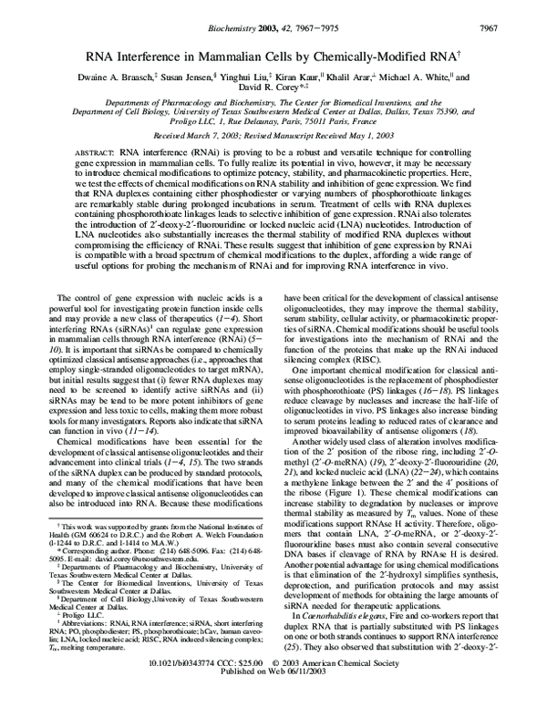(PDF) RNA Interference in Mammalian Cells by Chemically-Modified RNA