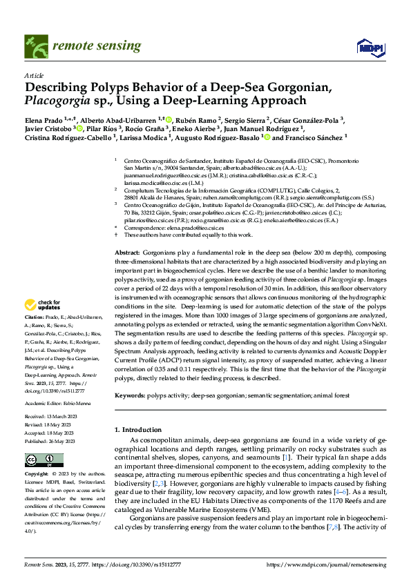 (PDF) Describing Polyps Behavior of a Deep-Sea Gorgonian, Placogorgia sp., Using a Deep-Learning ...