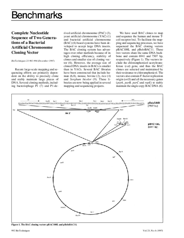 Pdf Complete Nucleotide Sequence Of Two Generations Of A Bacterial Artificial Chromosome