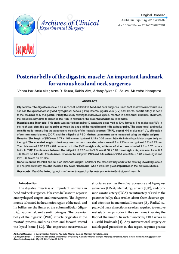 (PDF) Posterior Belly of Digastric muscle: An important landmark for ...