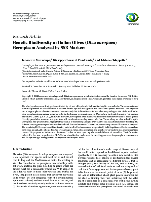 (PDF) Genetic Biodiversity of Italian Olives ( Olea europaea ...