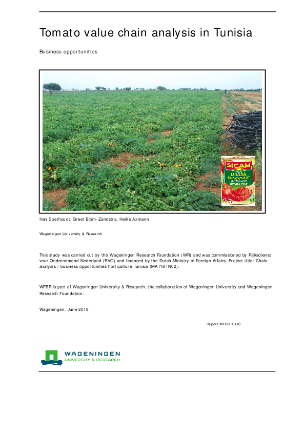 (PDF) Tomato value chain analysis in Tunisia : business opportunities ...