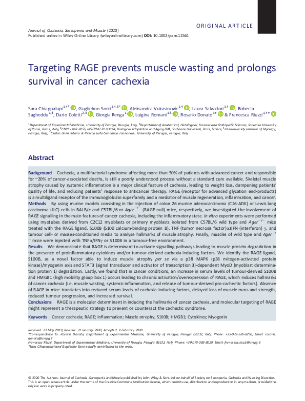 (PDF) Targeting RAGE prevents muscle wasting and prolongs survival in ...