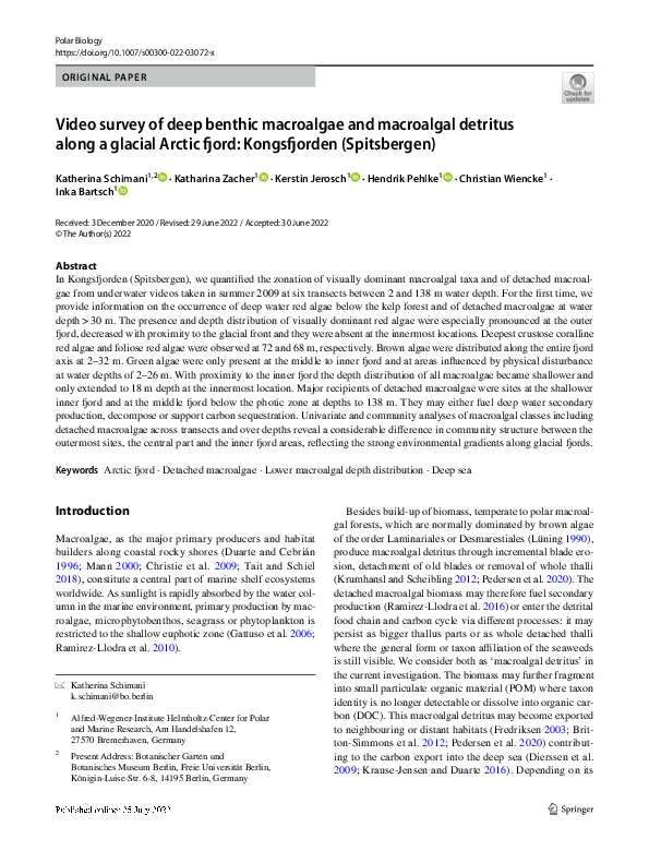 (PDF) Video survey of deep benthic macroalgae and macroalgal detritus ...