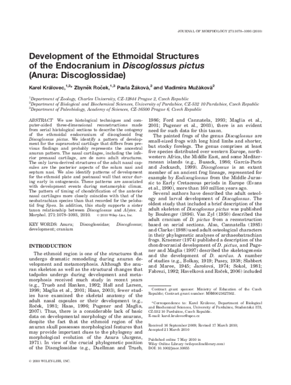 (PDF) Development of the ethmoidal structures of the endocranium in ...