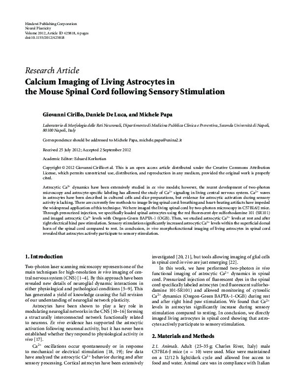 (PDF) Calcium Imaging of Living Astrocytes in the Mouse Spinal Cord ...