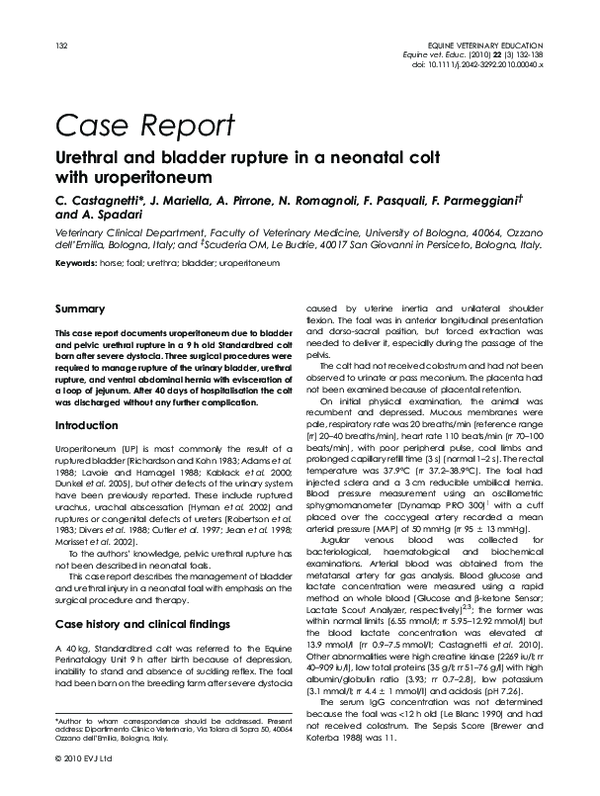 (PDF) Urethral and bladder rupture in a neonatal colt with uroperitoneum