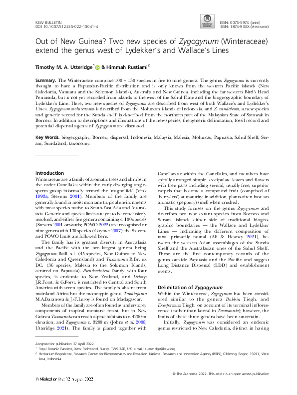 (PDF) Out of New Guinea? Two new species of Zygogynum (Winteraceae ...
