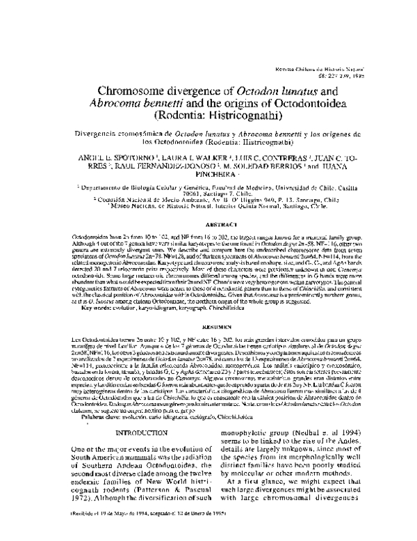 (PDF) Chromosome divergence of Octodon lunatus and Abrocoma bennetti ...