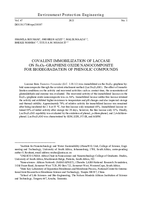 (PDF) Covalent immobilization of laccase on Fe3O4–graphene oxide nanocomposite for ...