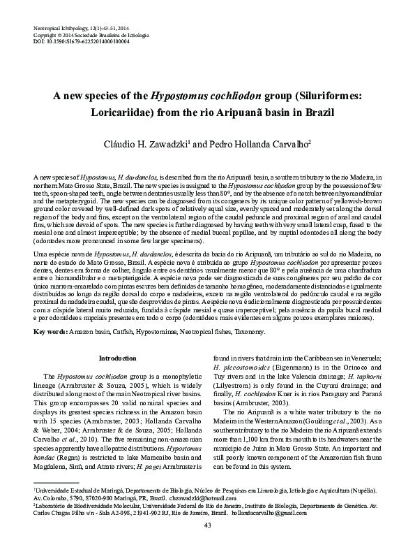 (PDF) A new species of Rineloricaria (Siluriformes: Loricariidae ...