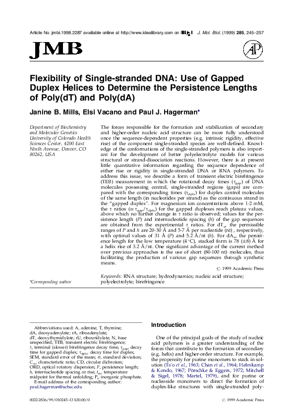 (PDF) Flexibility of single-stranded DNA: use of gapped duplex helices ...