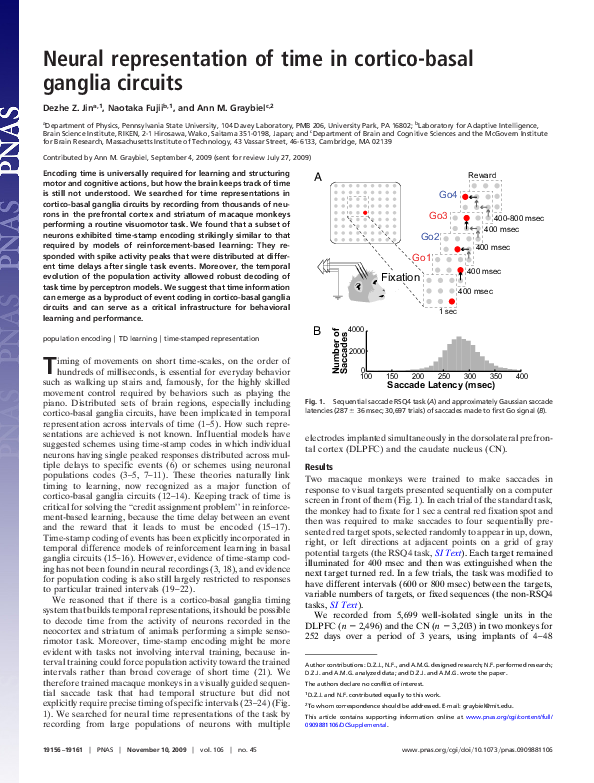 (PDF) Neural representation of time in cortico-basal ganglia circuits