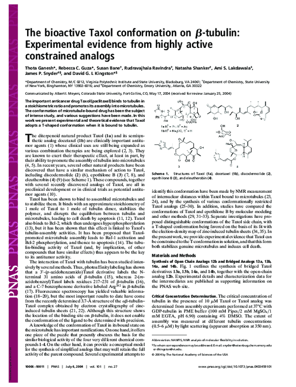 (PDF) The bioactive Taxol conformation on β-tubulin: Experimental ...