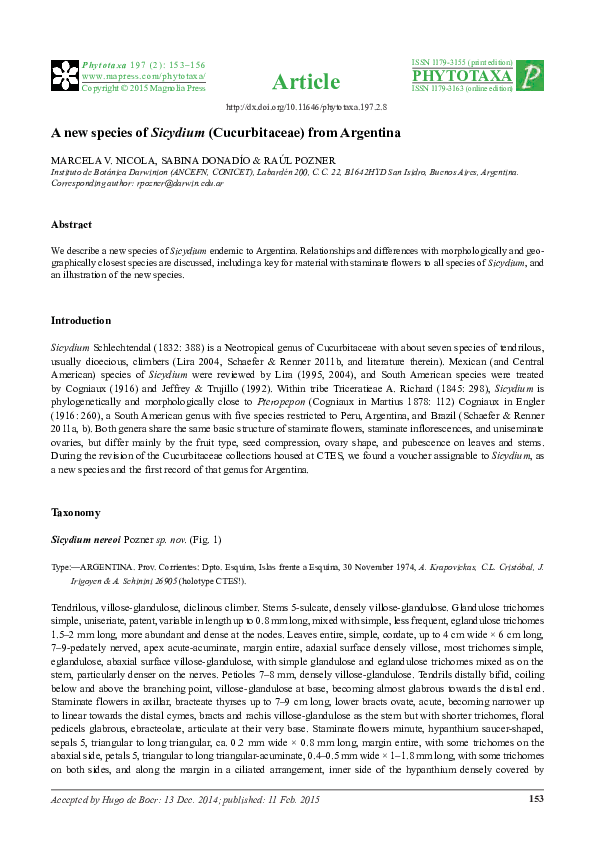 (PDF) A new species of Sicydium (Cucurbitaceae) from Argentina