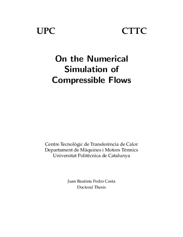 (PDF) On the numerical simulation of compressible flows