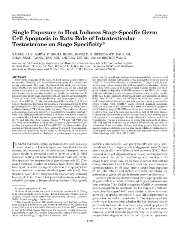 (PDF) Single Exposure to Heat Induces Stage-Specific Germ Cell ...